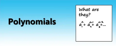 The Ultimate Polynomial Guide: Definitions, Degree & Operations